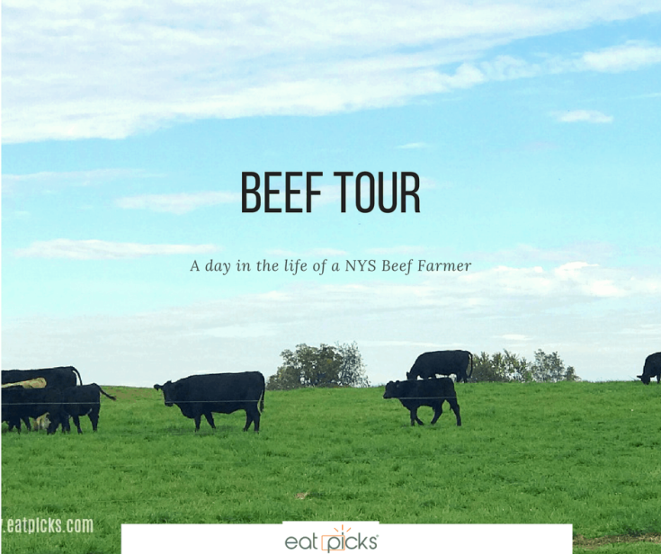 Ameele Farms Popular Highlight of NYS Beef Tour | Eat Picks